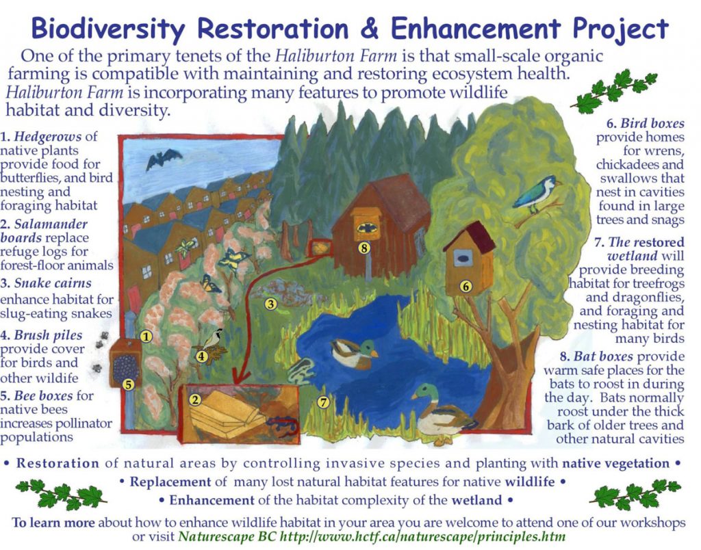 Biodiversity Project handout with granters 2 | Haliburton Community ...