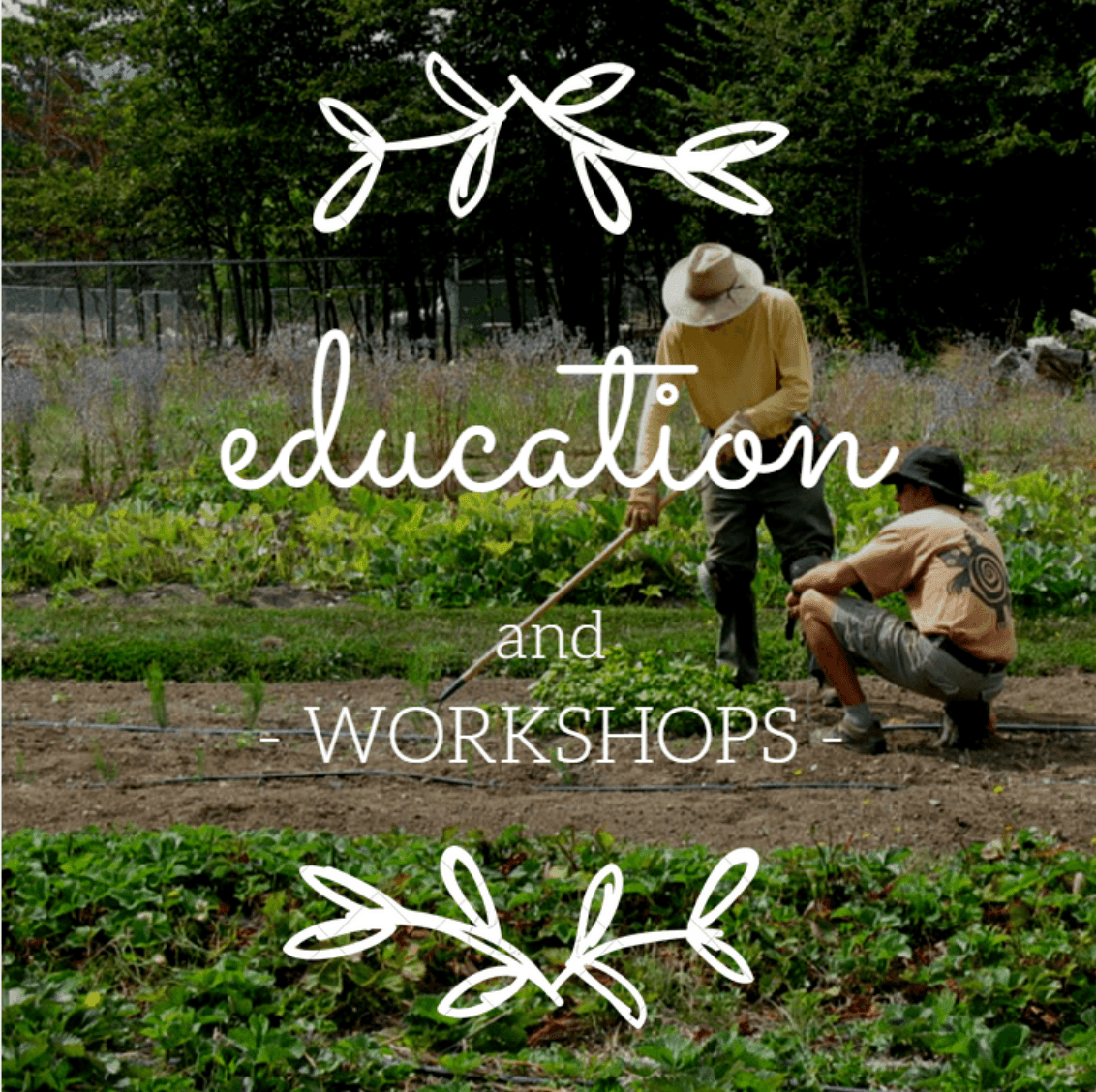 Biodiversity Project handout with granters 2 | Haliburton Community ...